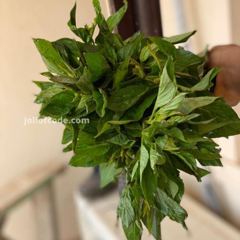 Nigerian Efo – Shoko Seeds - Jollof Code